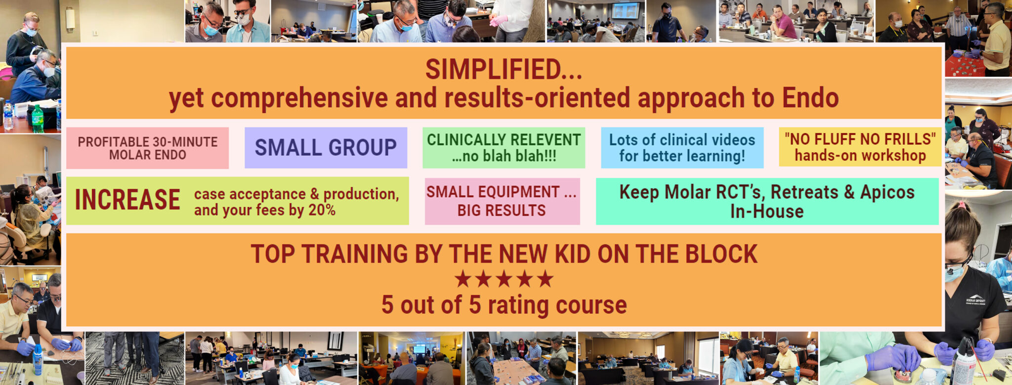 Home page - Root Camp - Endodontic Training